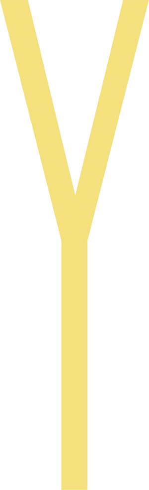 About — KNS International