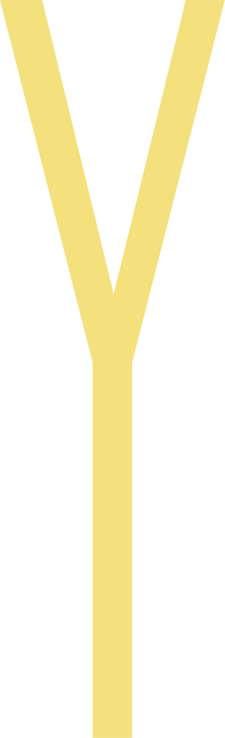 About — KNS International