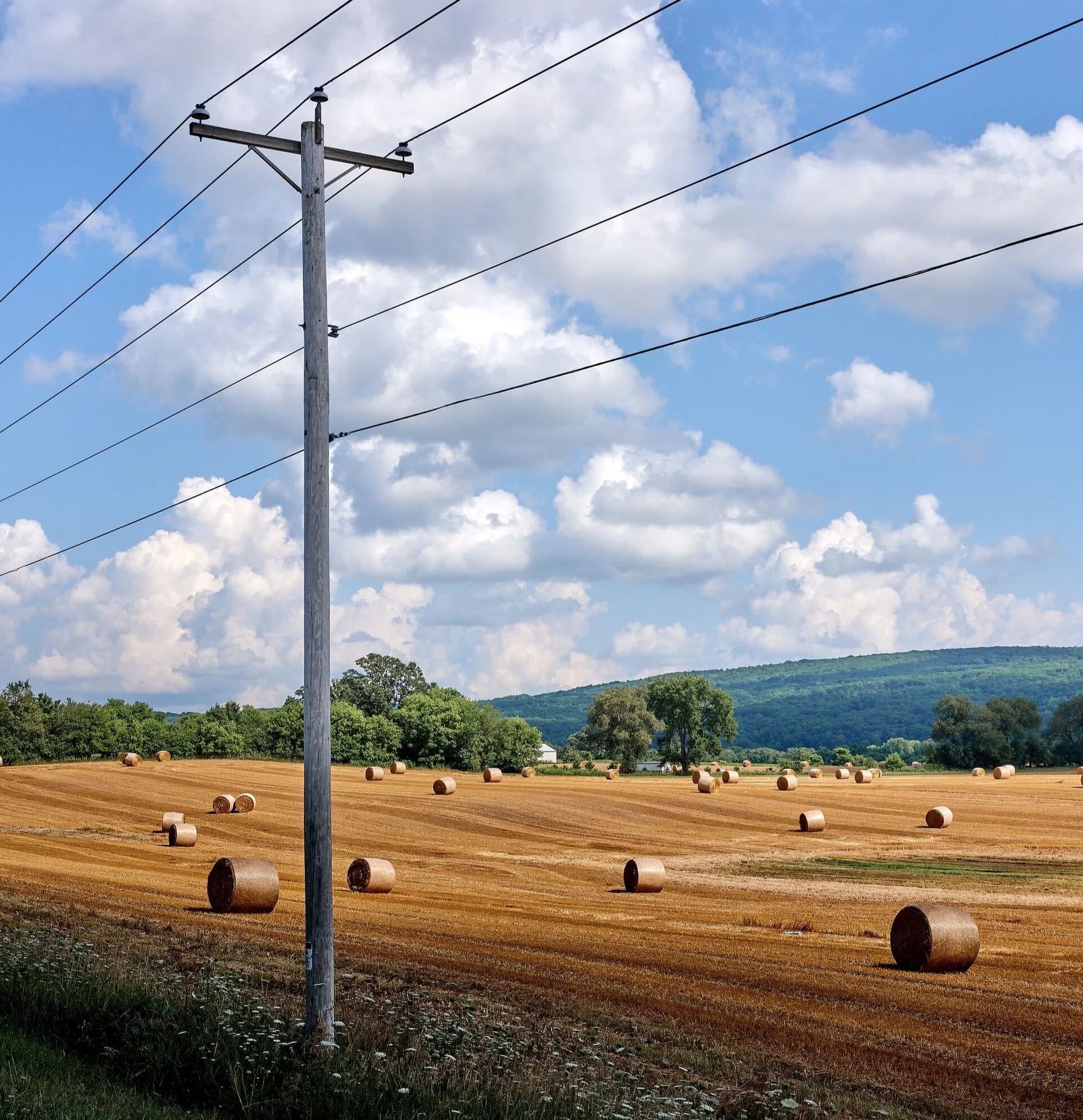 PROLine Utility Construction