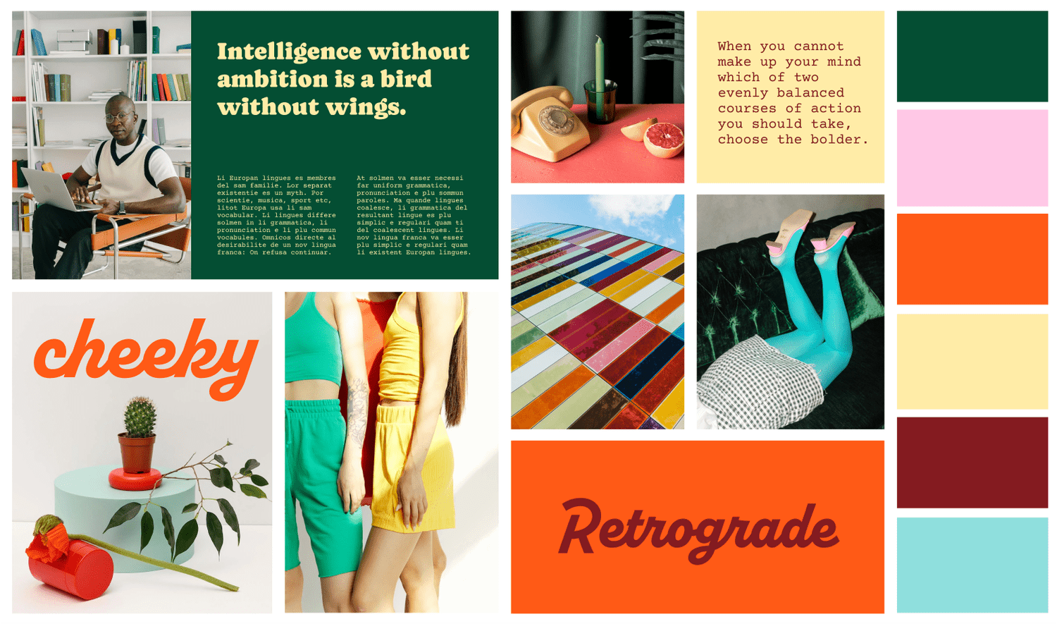 Shop All — Tributary Design Studio