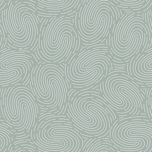 Humankind Swim — Tributary Design Studio