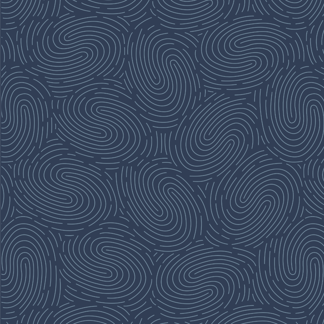 Humankind Swim — Tributary Design Studio