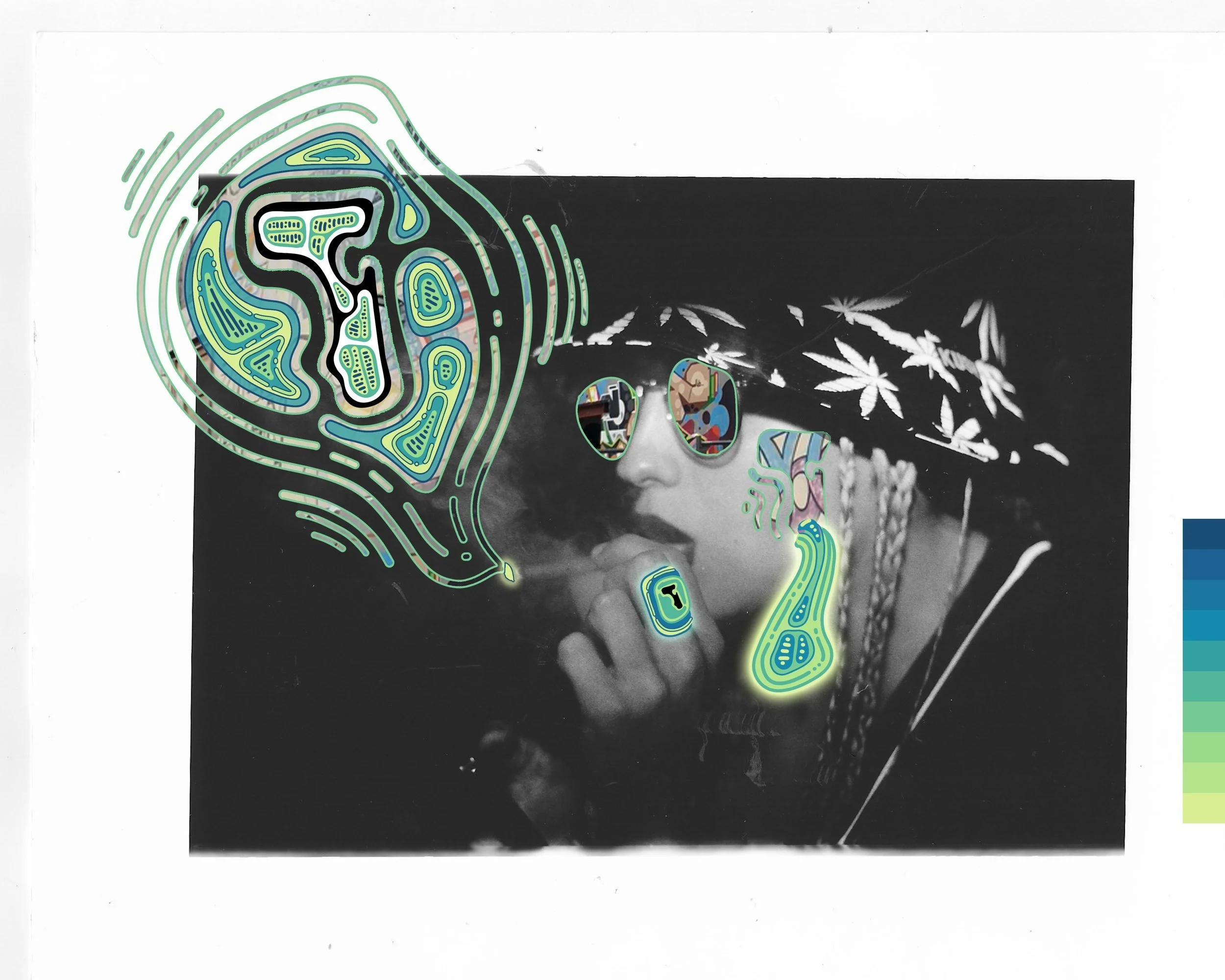 Portfolio — pilzperspektive