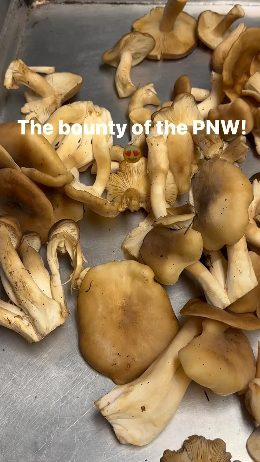 SUBTERRA Kitchen & Cellar