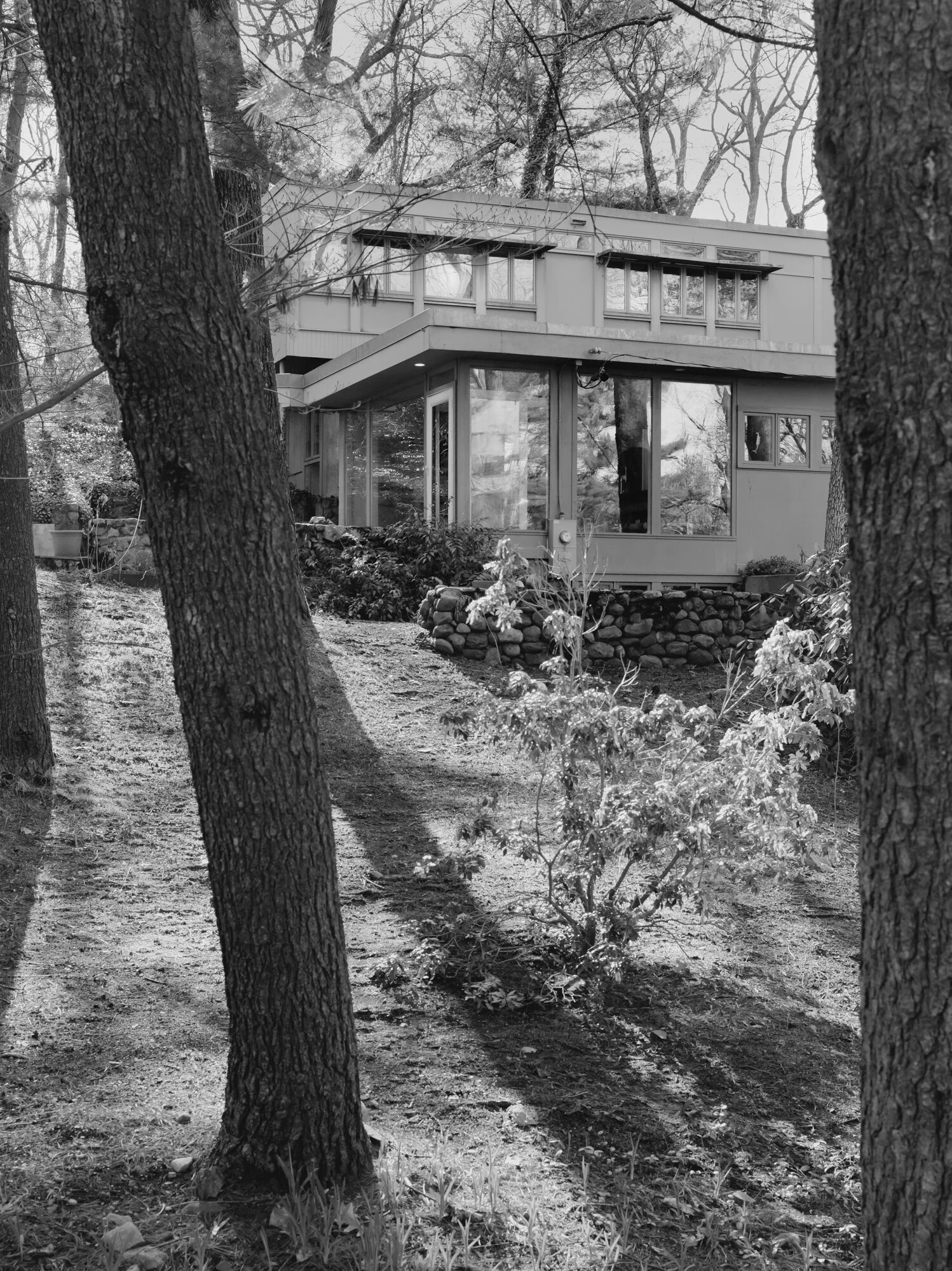 Lexington, MA — FORM and LANDSCAPE - Bauhaus in New England