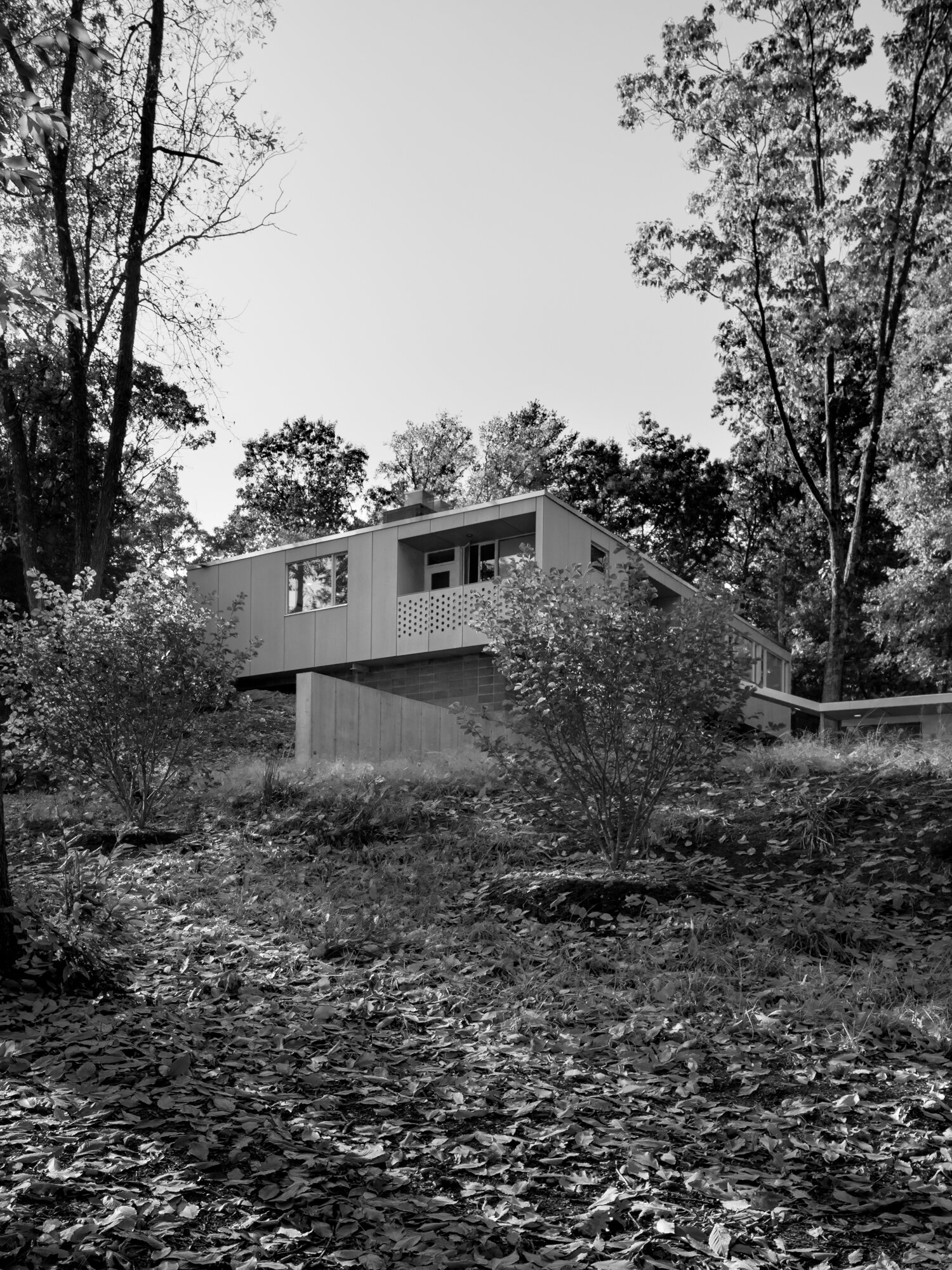 Lexington, MA — FORM and LANDSCAPE - Bauhaus in New England