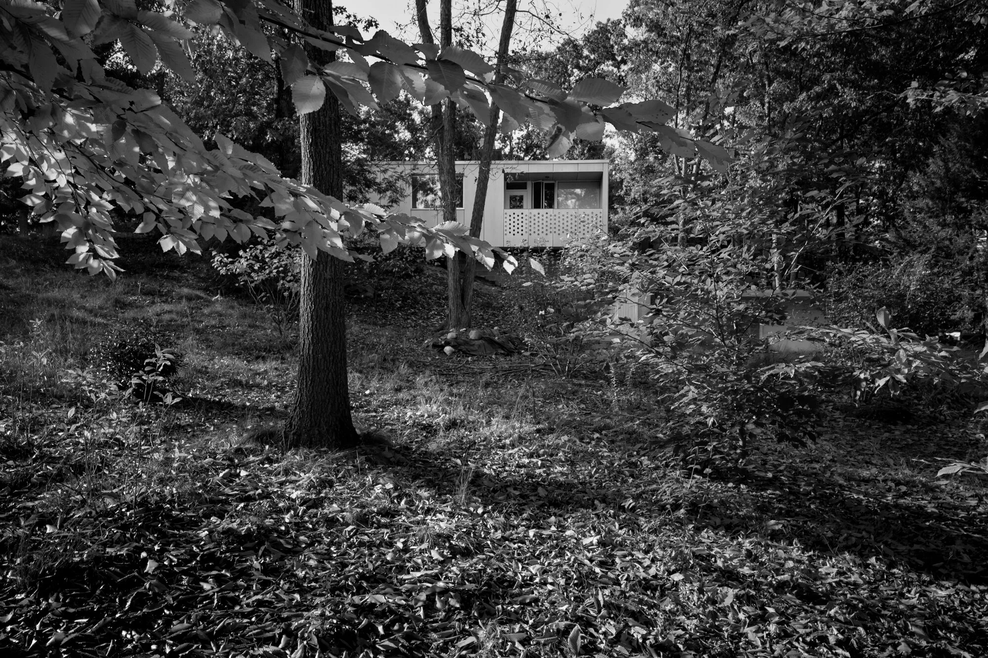 Lexington, MA — FORM and LANDSCAPE - Bauhaus in New England