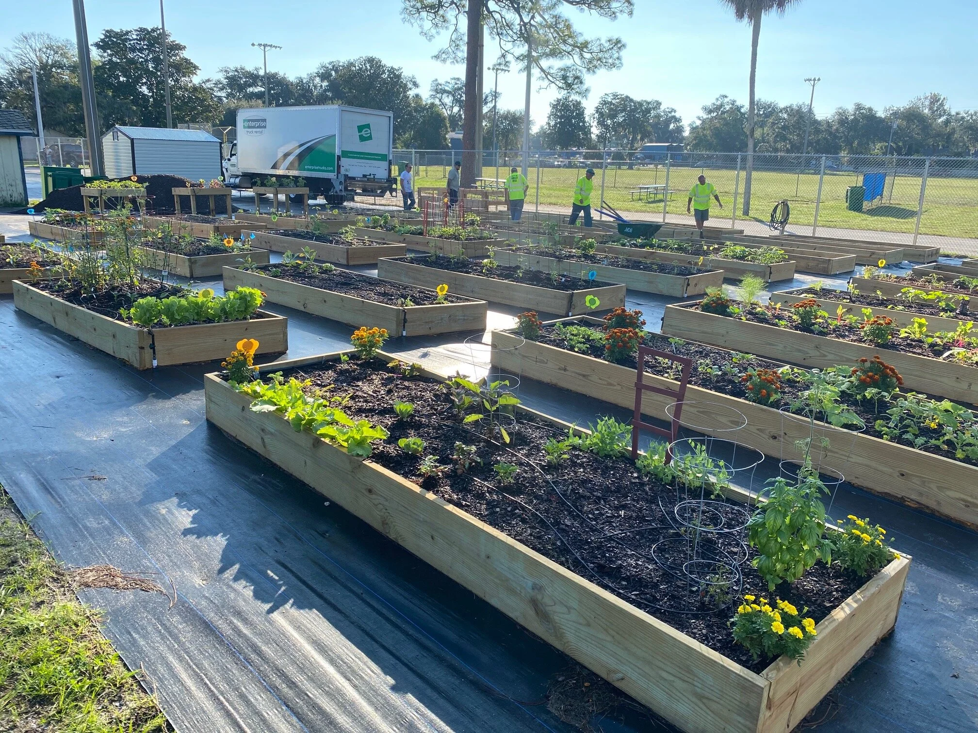 Custom Kitchen Garden Design