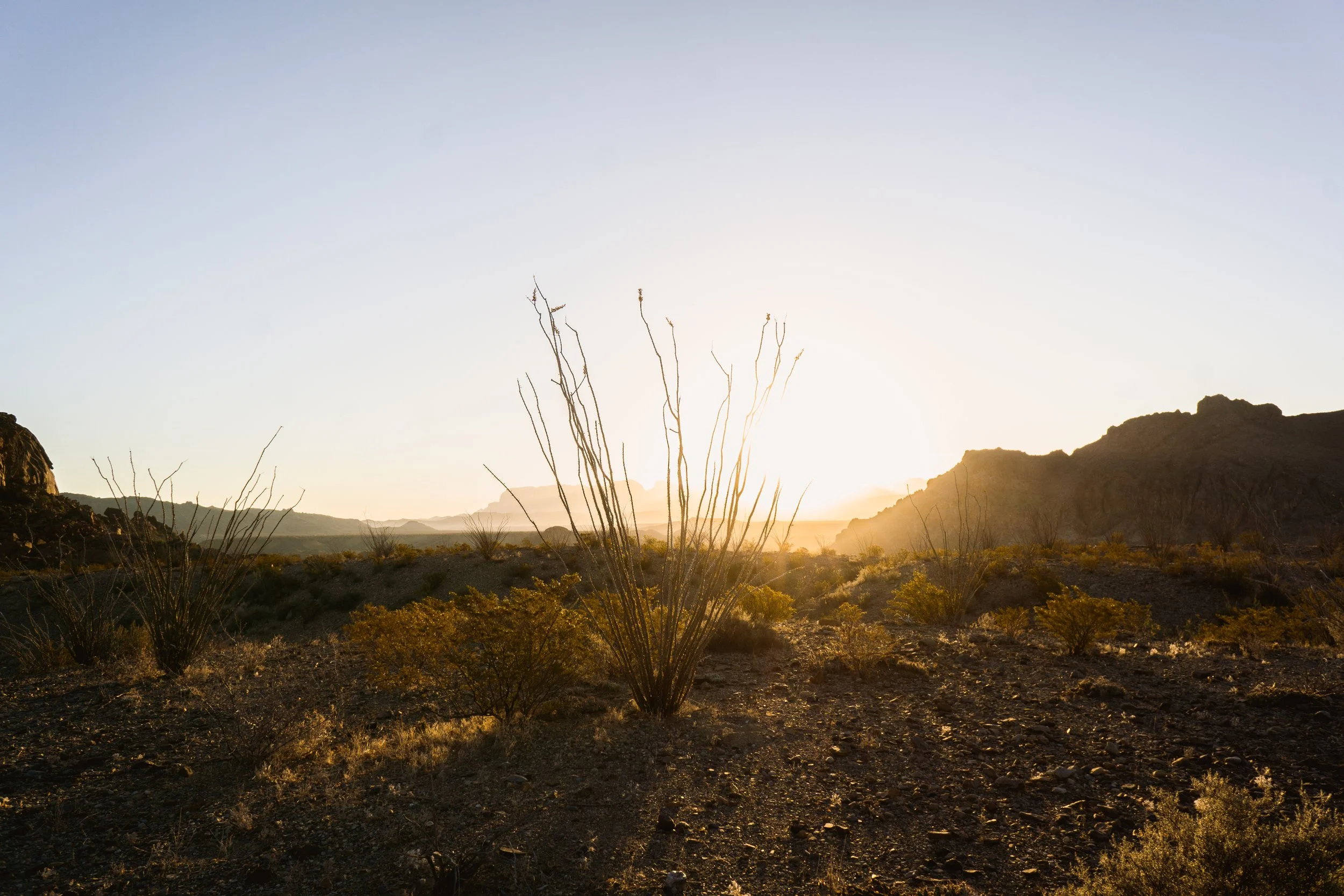 About — Ocotillo Salt Co.