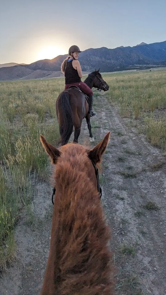 Autoimmune Equestrian