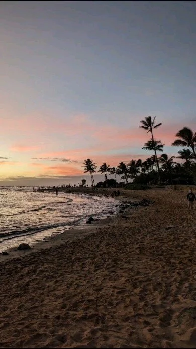 Autoimmune Equestrian