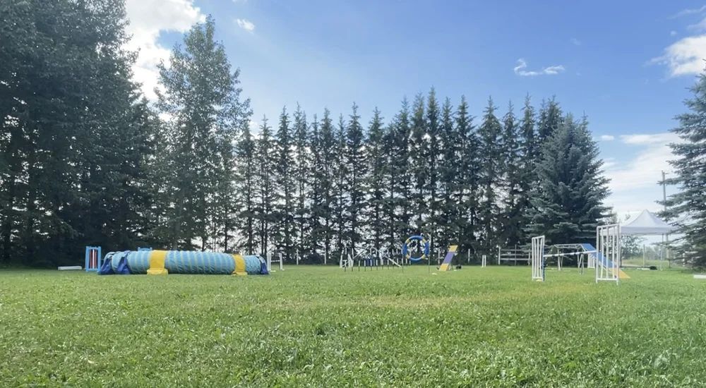 Locations — freespiritdogs