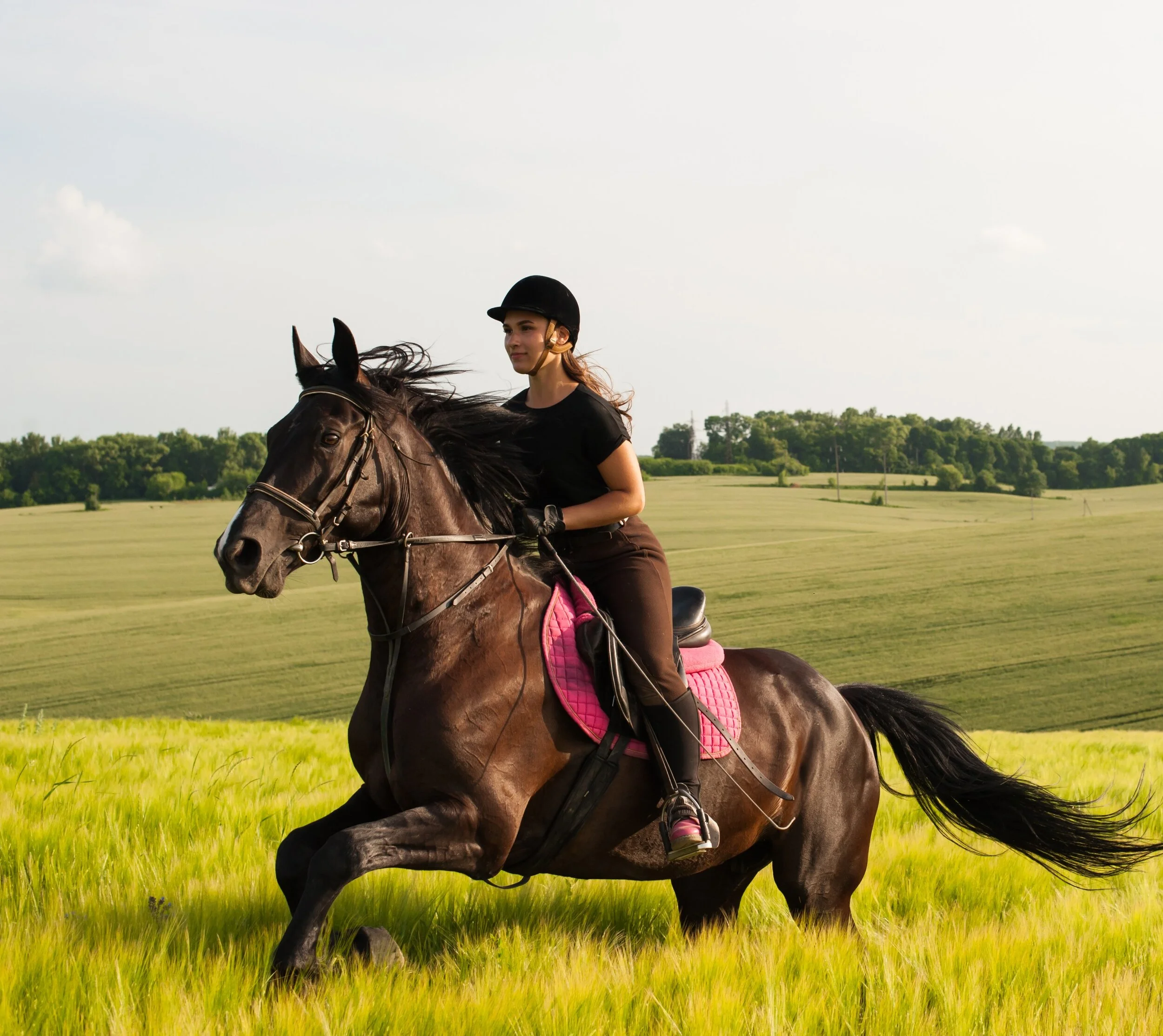 Programul de formare in calarie al FRTE — Federatia Romana de Turism ...