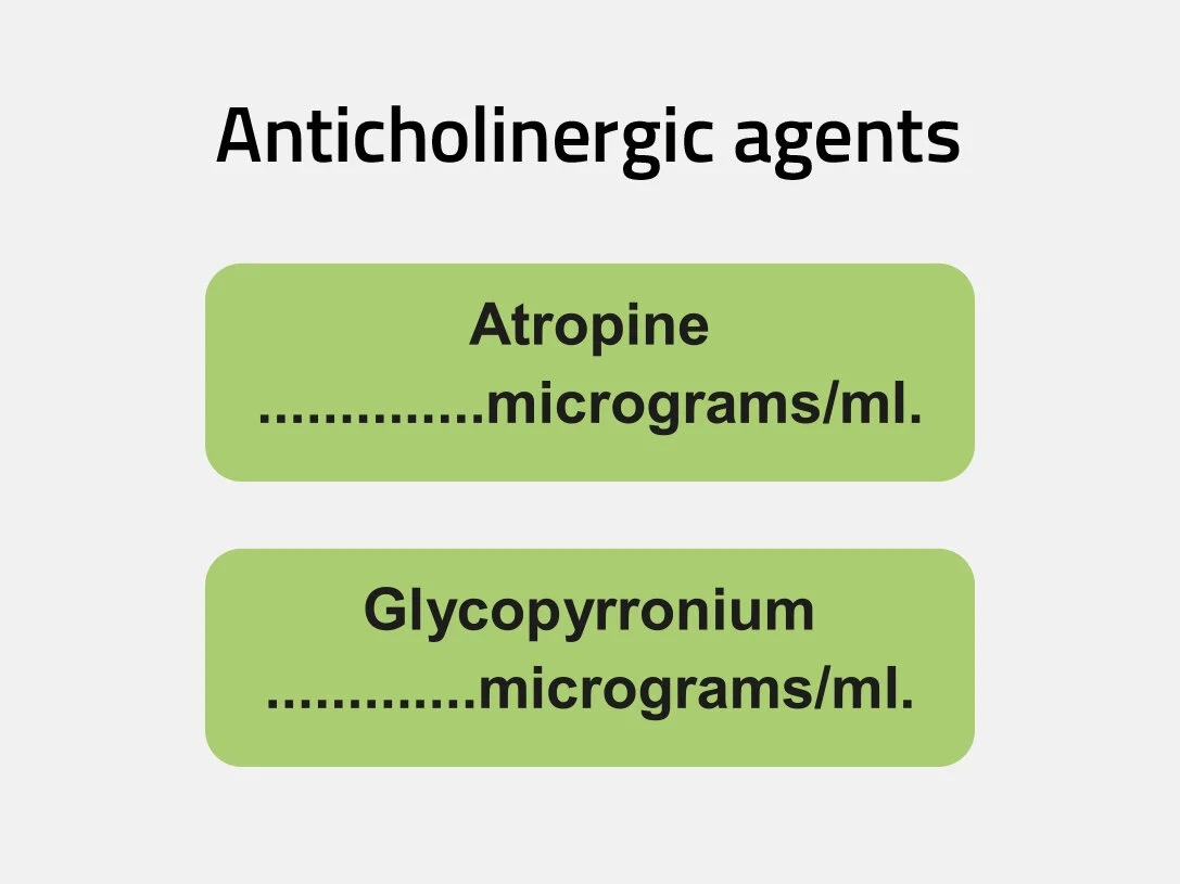 Rainbow Labels — Rainbow Trays