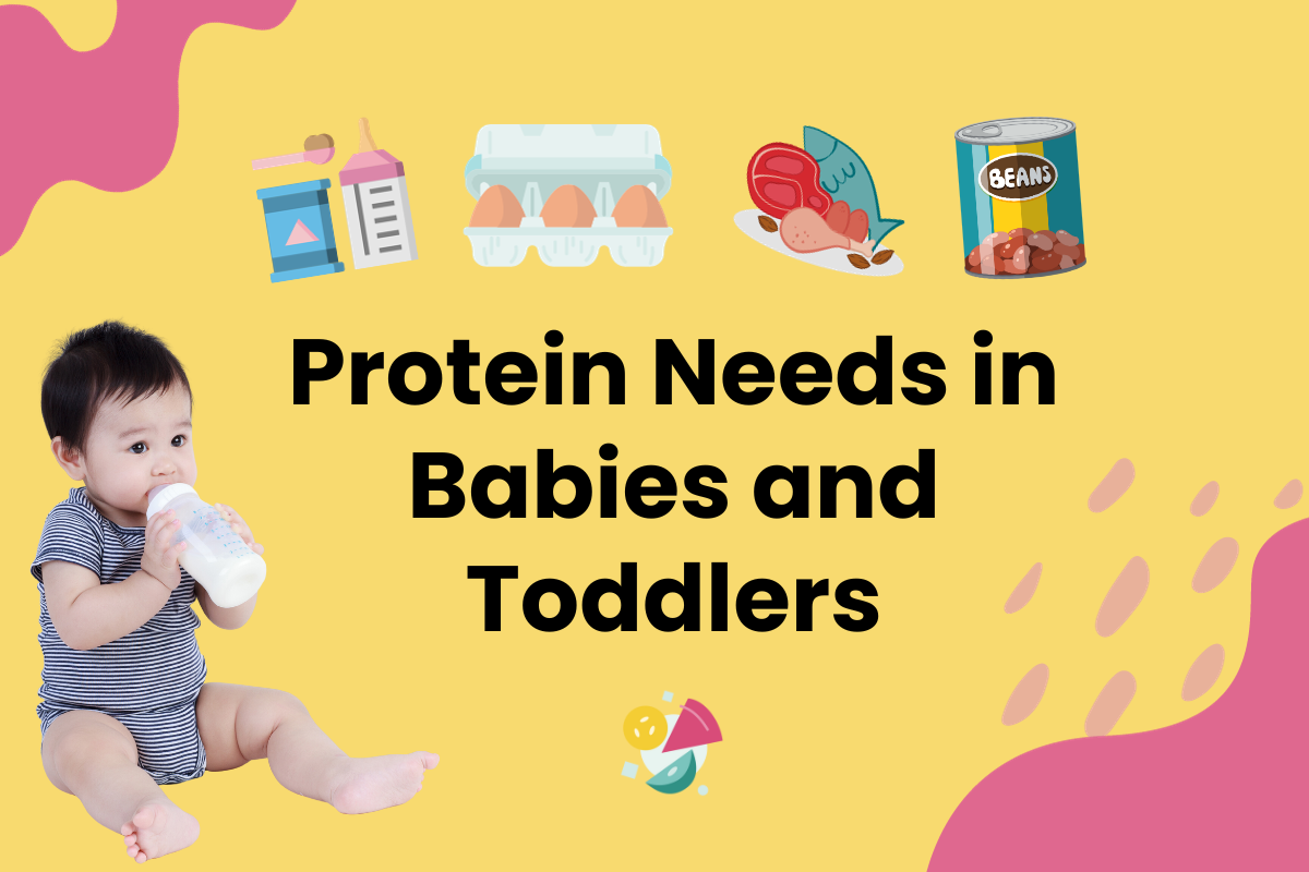 Protein Needs in Babies and Toddlers — Easy Bites