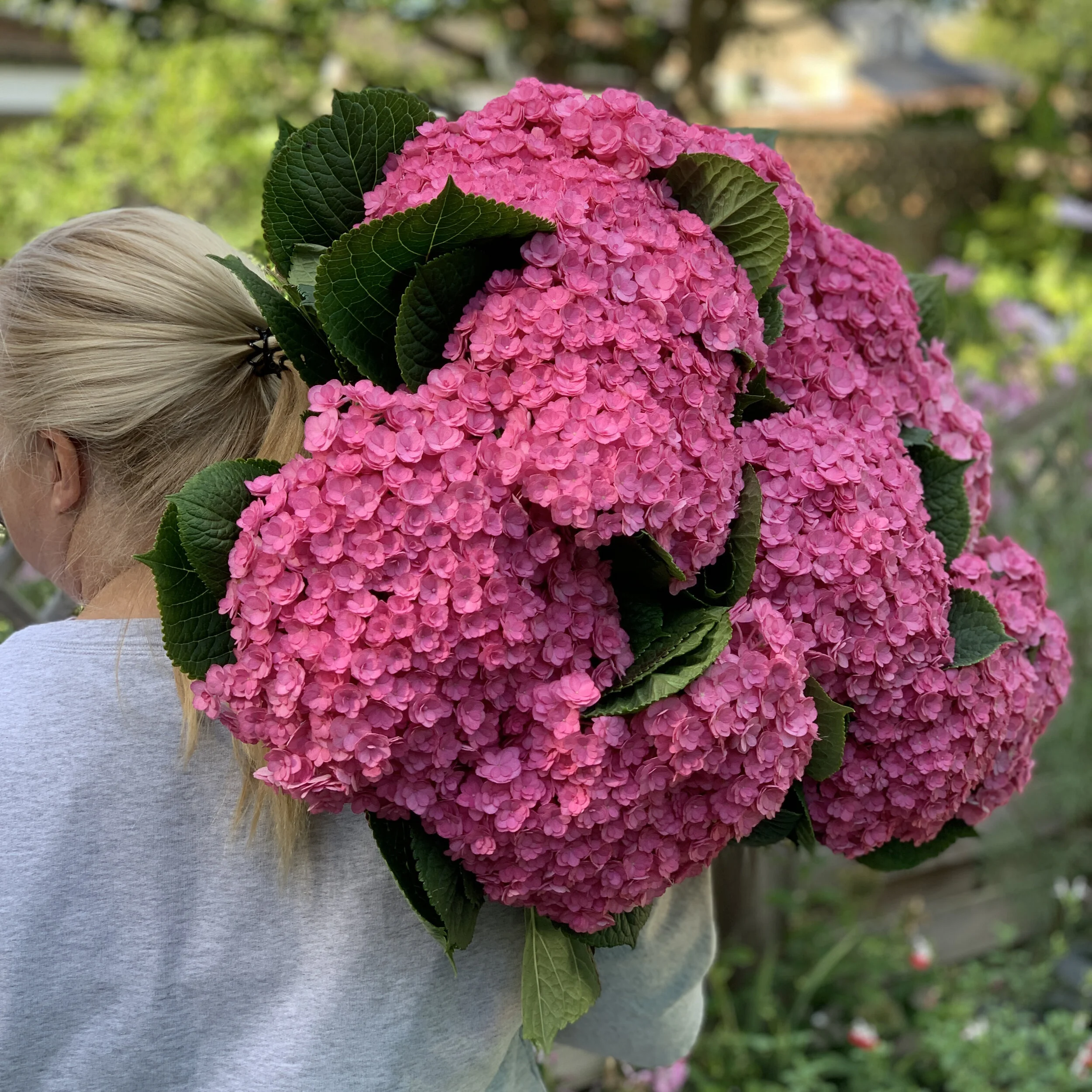 Alison Flanagan Flowers