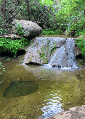 Little Fern Trail: One of Austin’s Best-Kept Secrets — The Austin Tourist