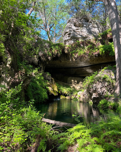 Explore the Hidden Waterfall and Limestone Cave at Westcave Outdoor ...