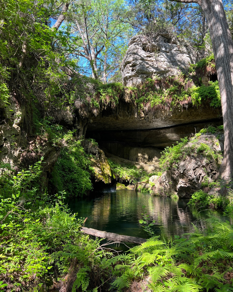 Explore the Hidden Waterfall and Limestone Cave at Westcave Outdoor ...