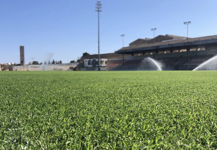 POWERgrass™ Natural Grass Hybrid Reinforced Pitch Field Sports ...