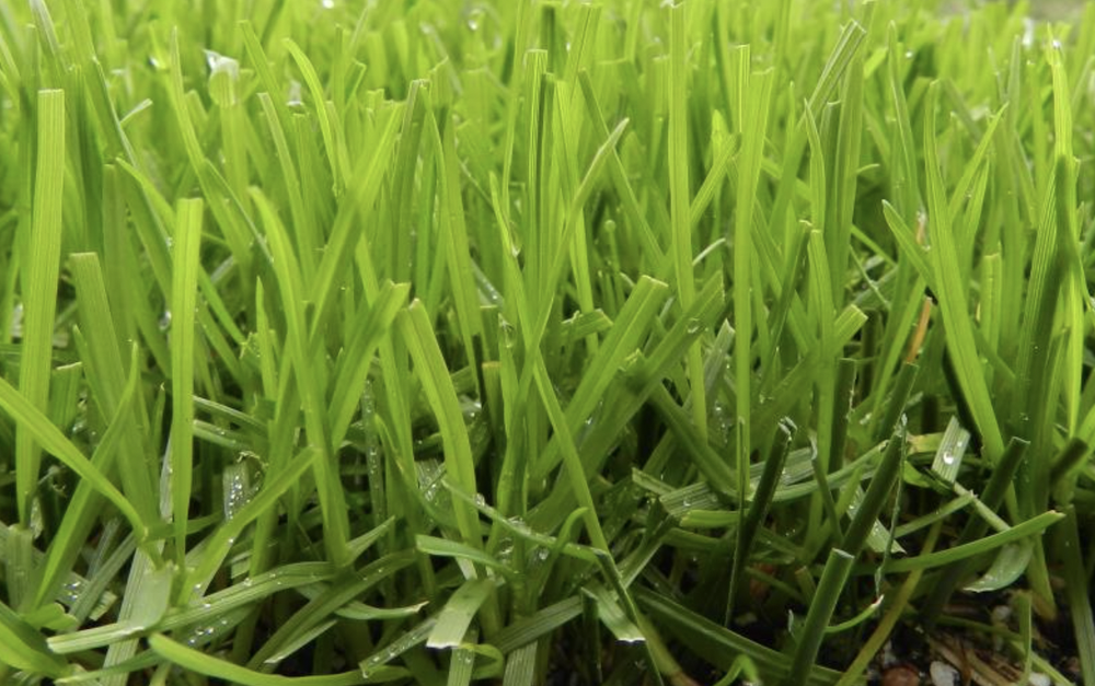 POWERgrass™ Natural Grass Hybrid Reinforced Pitch Field Sports ...