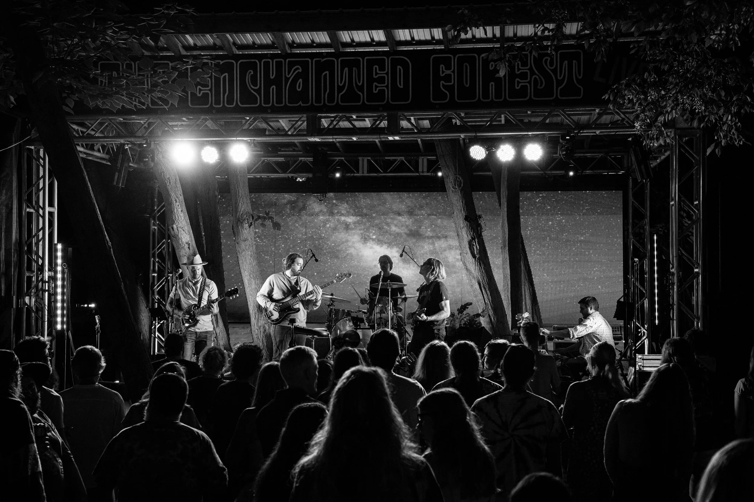 About — Houseplant