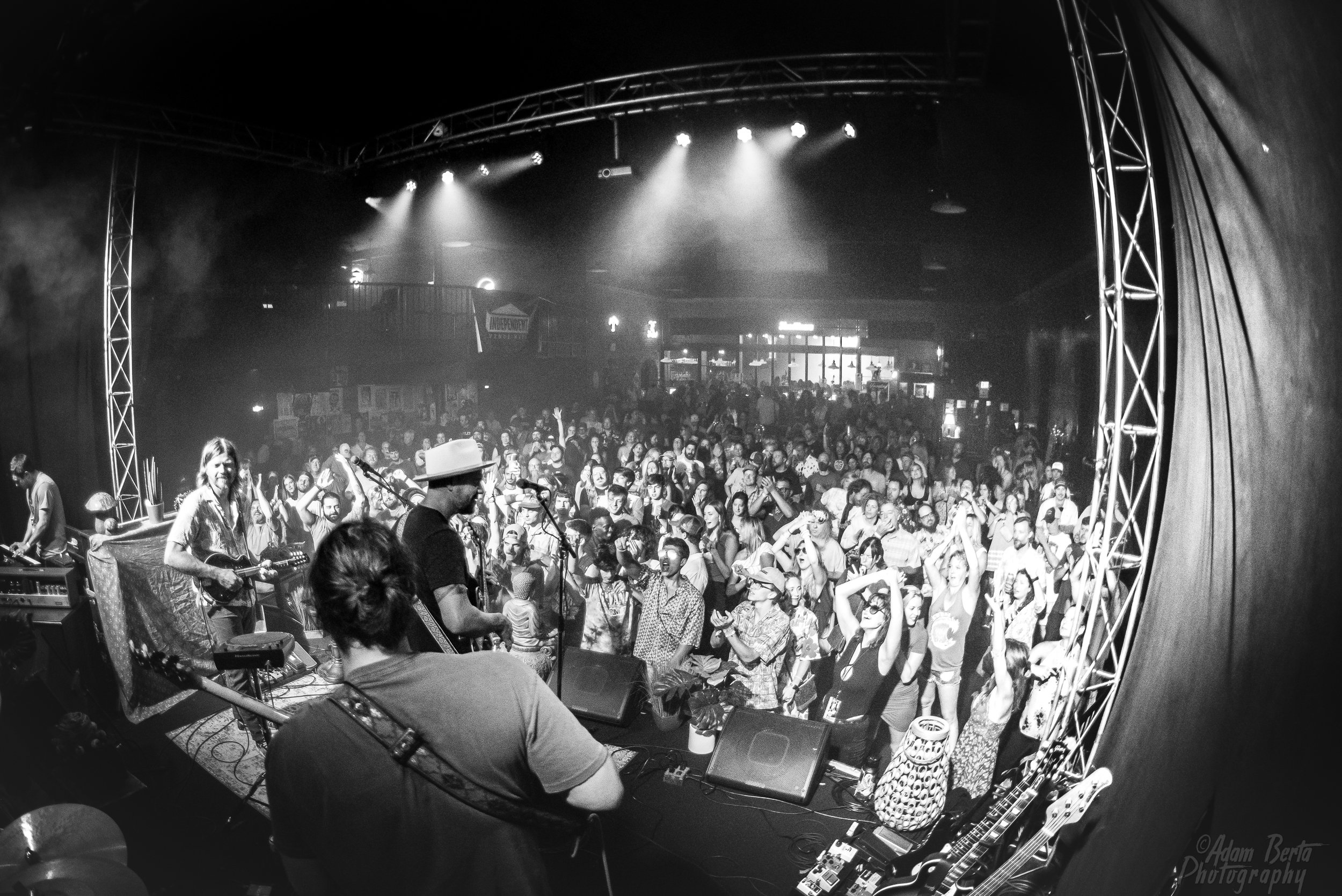 About — Houseplant