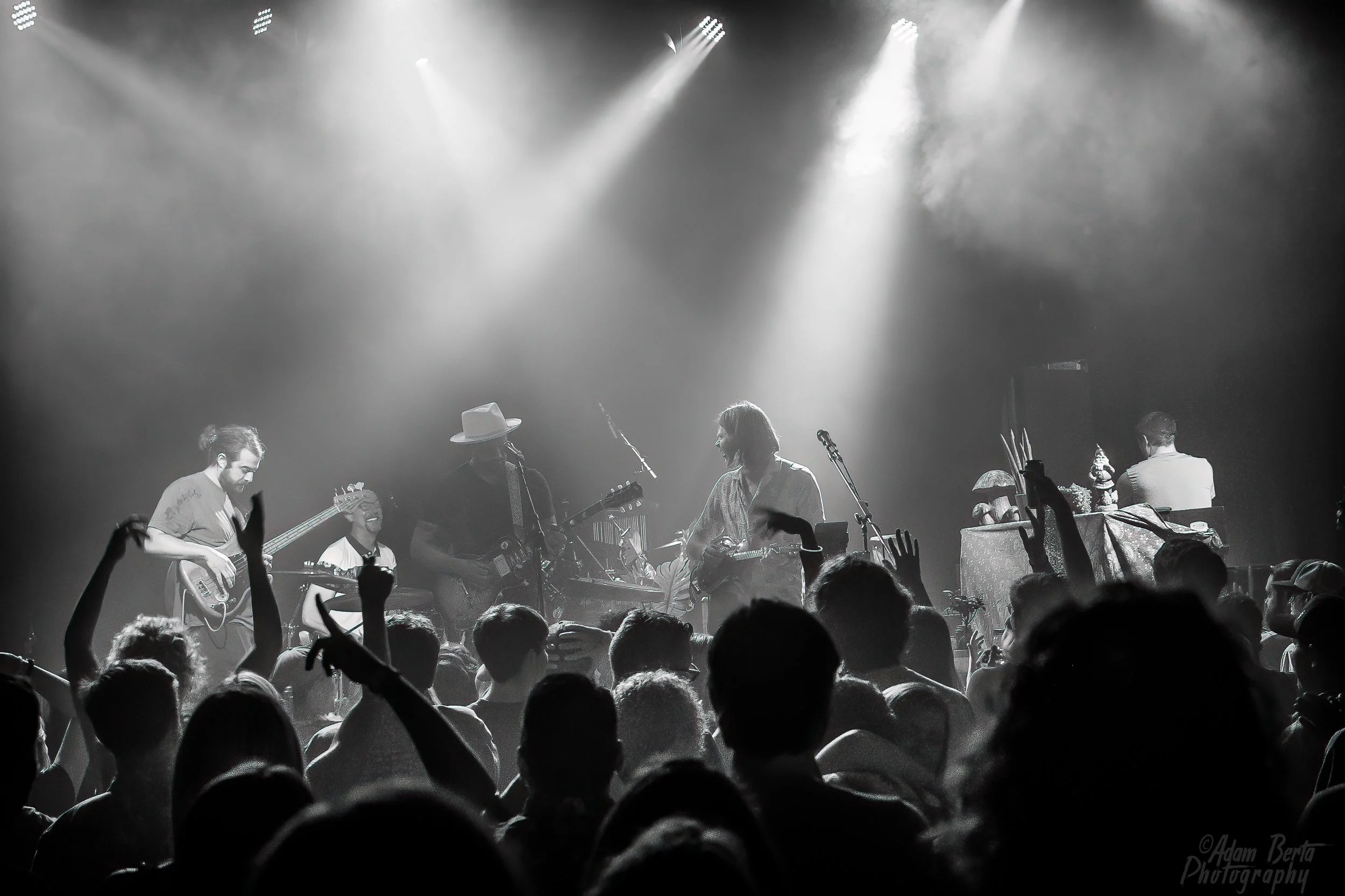 About — Houseplant