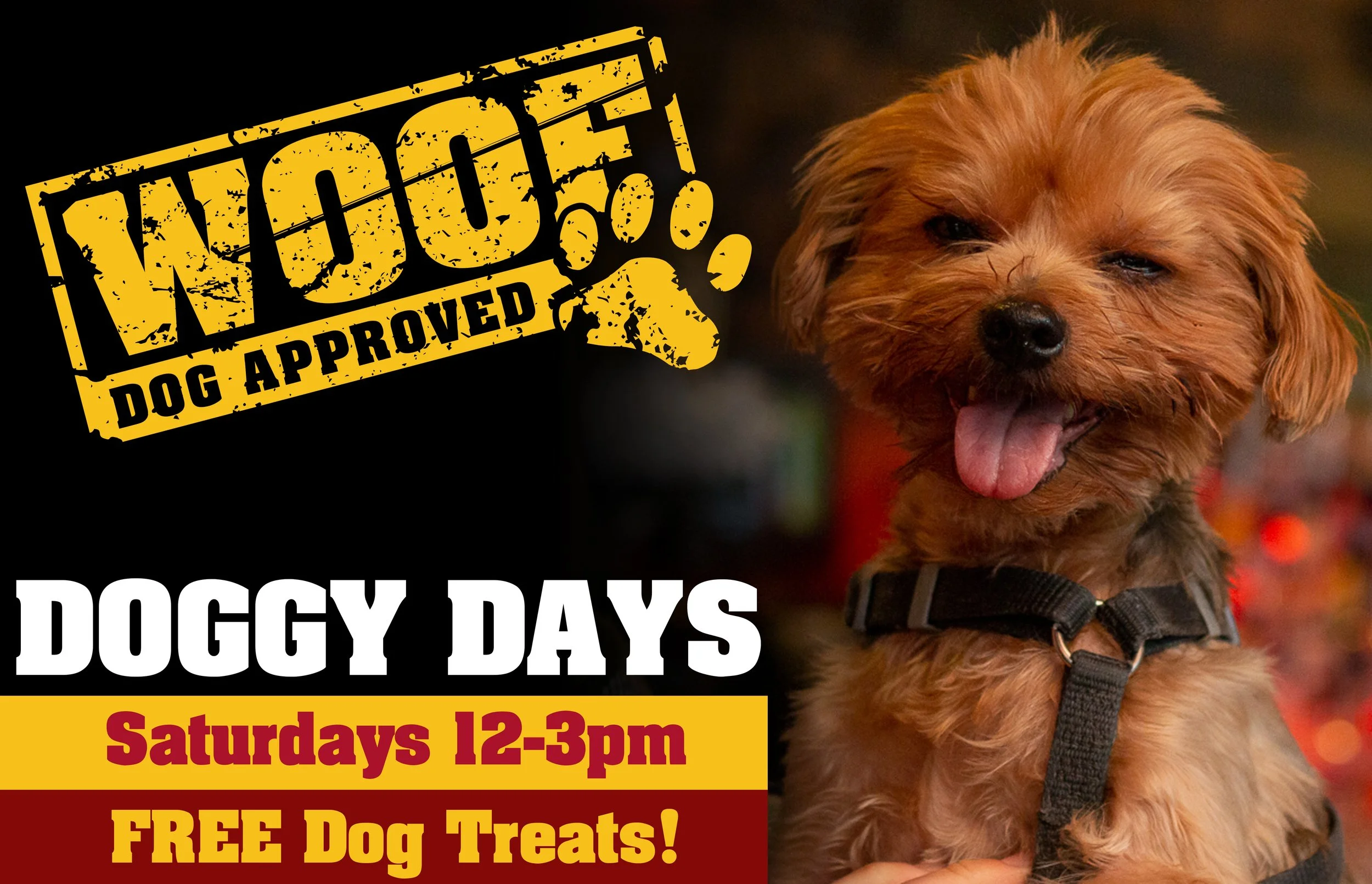 Upcoming Events — The SoFo Tap