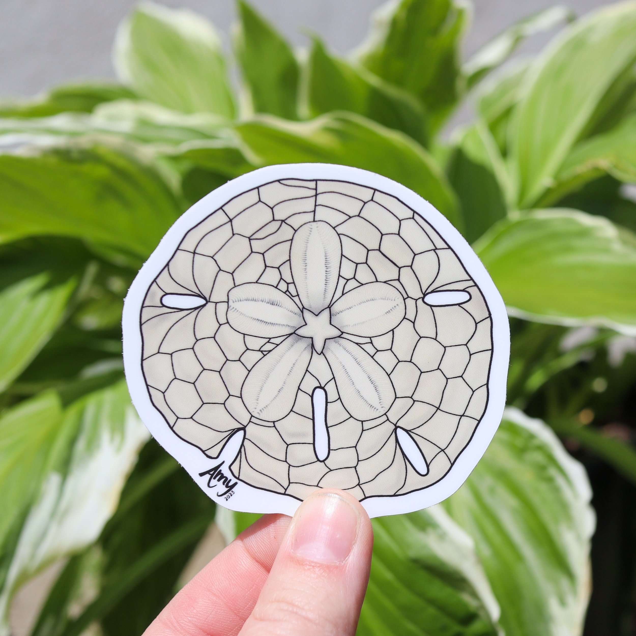 Brooke Trout Sticker — Sisters’ Sunflowers
