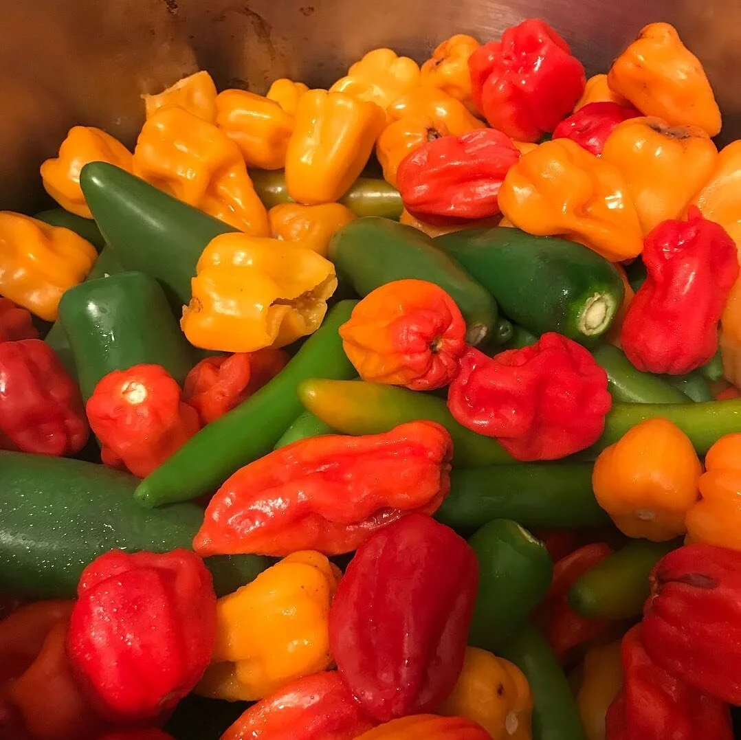 The Final Sauce | Your Favorite Condiment Company