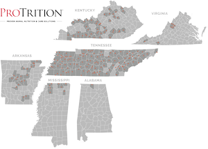 Our Footprint — Protrition