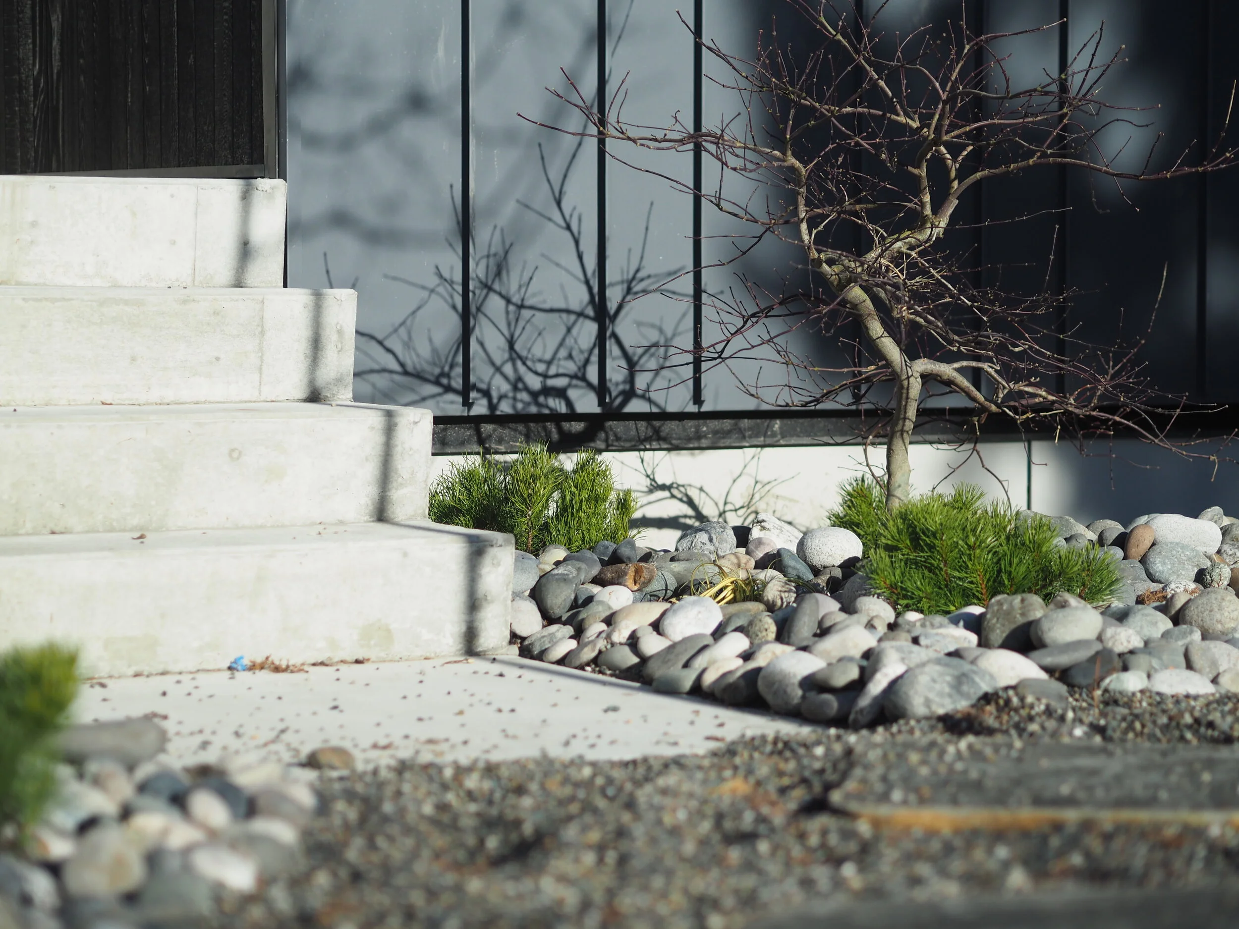 Trinity — Absolute Landscaping