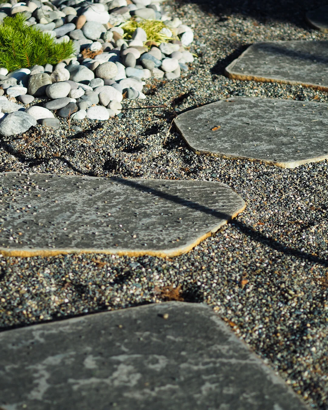 Trinity — Absolute Landscaping