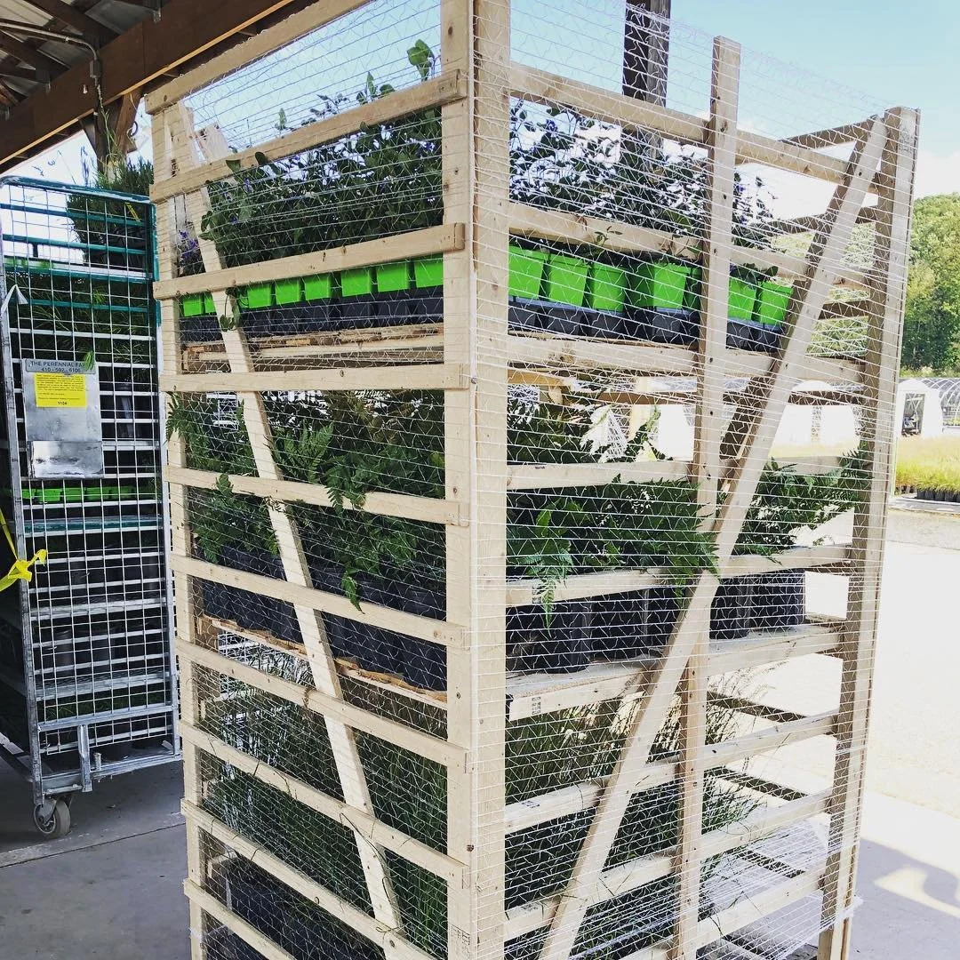 Fleet — The Perennial Farm is Growing for You!