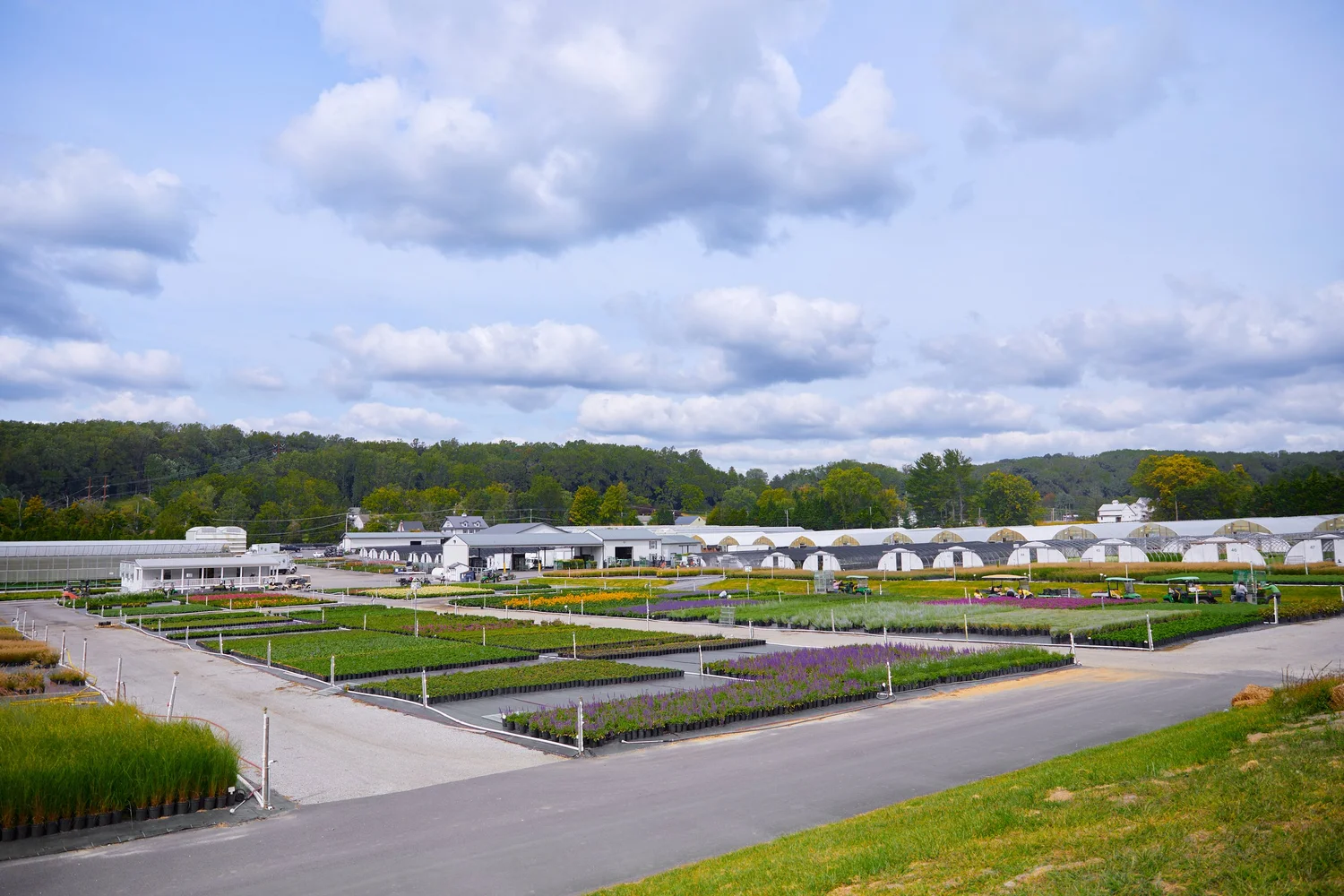 Robin Recommends — The Perennial Farm is Growing for You!