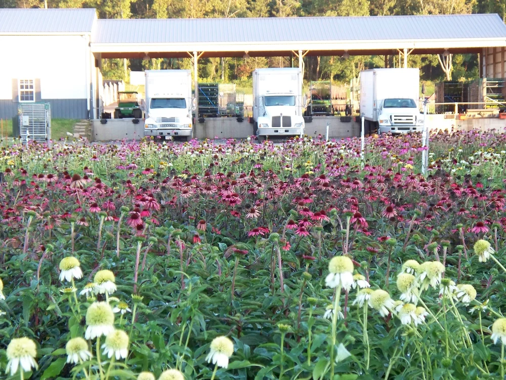 Fleet — The Perennial Farm is Growing for You!