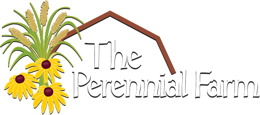 Team — The Perennial Farm is Growing for You!