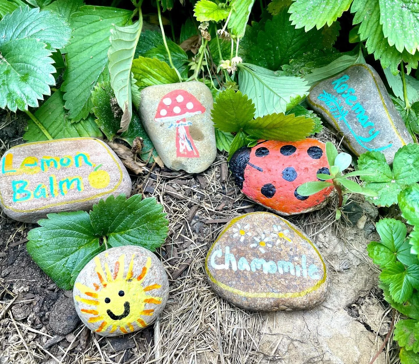 Larkspur Landscaping