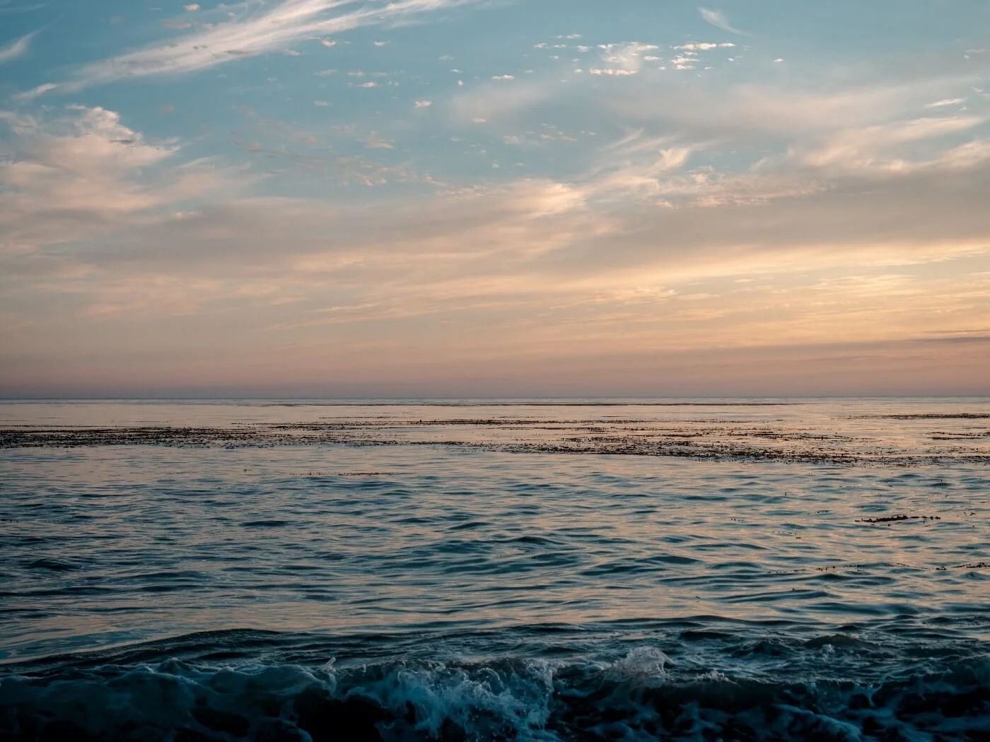 Riptide Ocean