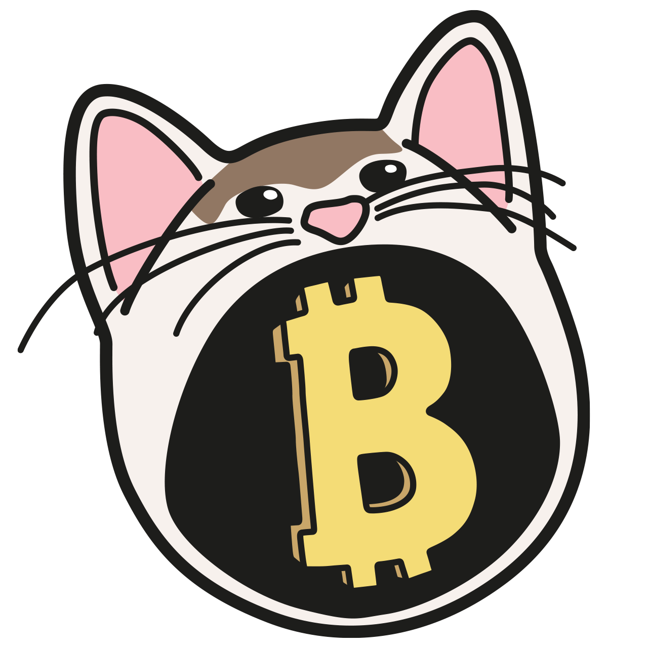 Cats•In•The•Sats