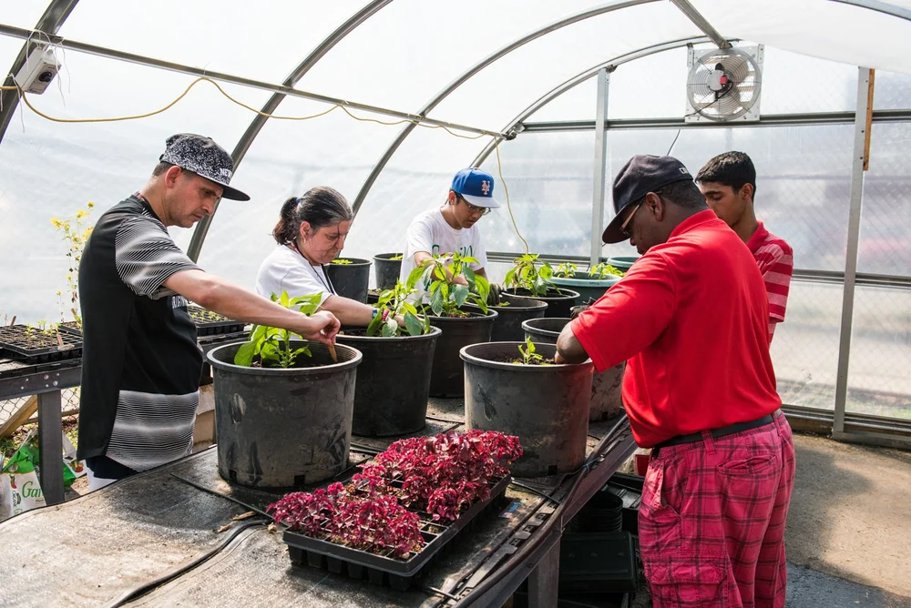 Smile Farms - Brooklyn Grange