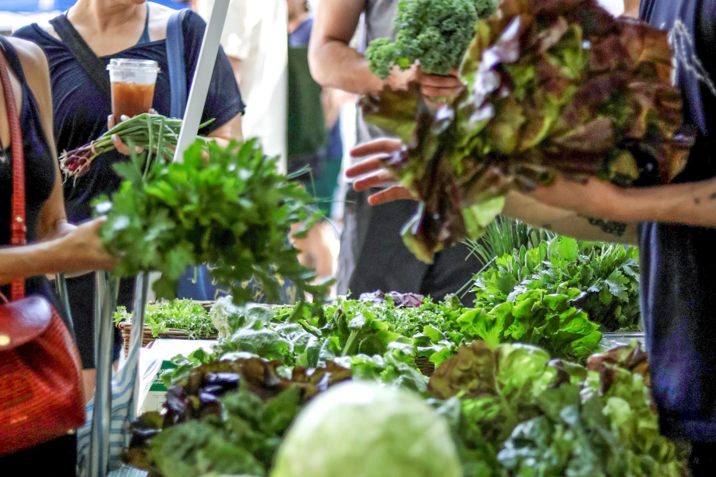 Find Our Produce | Produce Distribution in New York - Brooklyn Grange