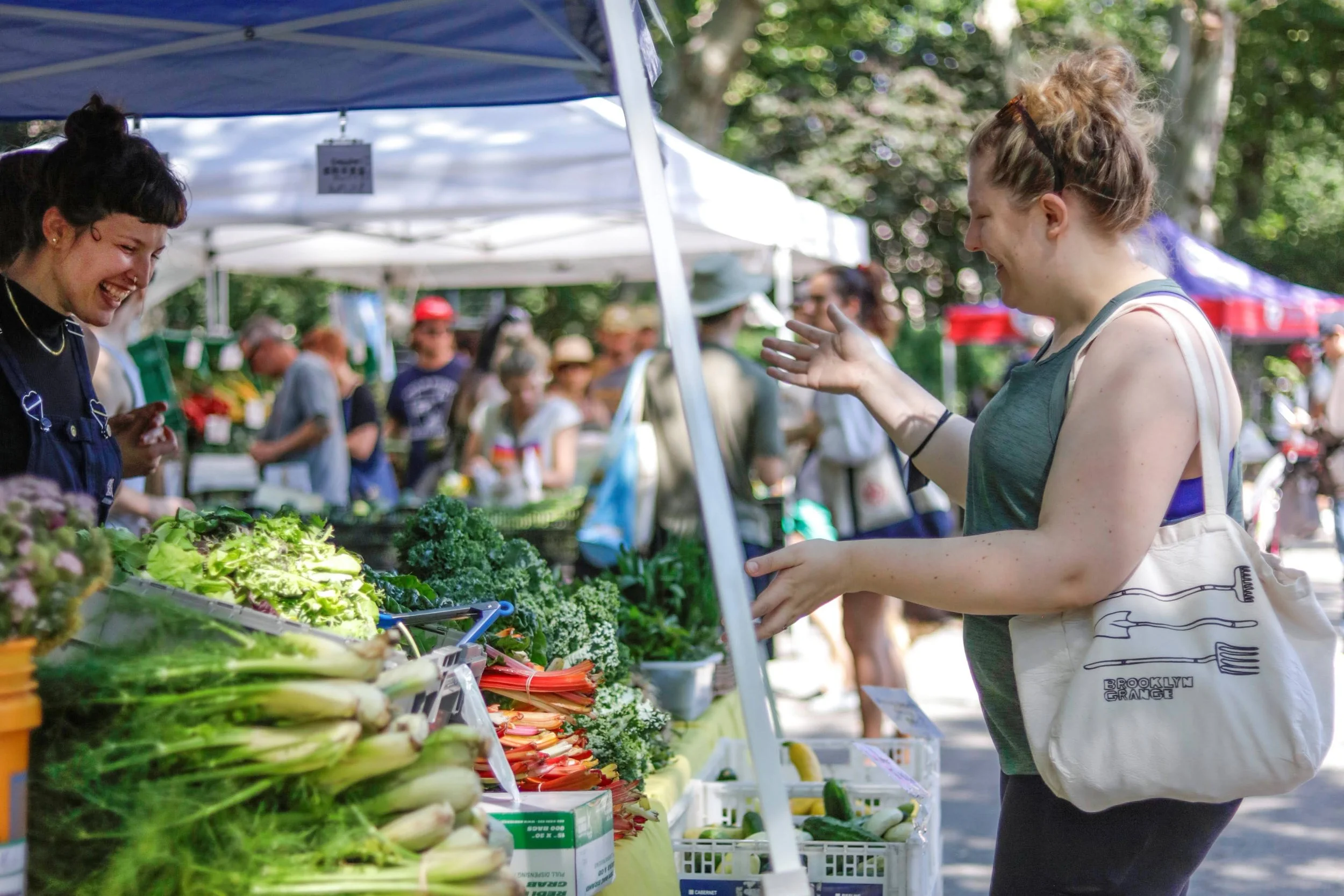 Find Our Produce | Produce Distribution in New York - Brooklyn Grange