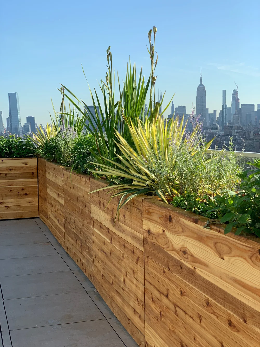 Broome Street Roof - Brooklyn Grange