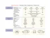 2000 GMC Jimmy Spec Sheet — S10LIFE