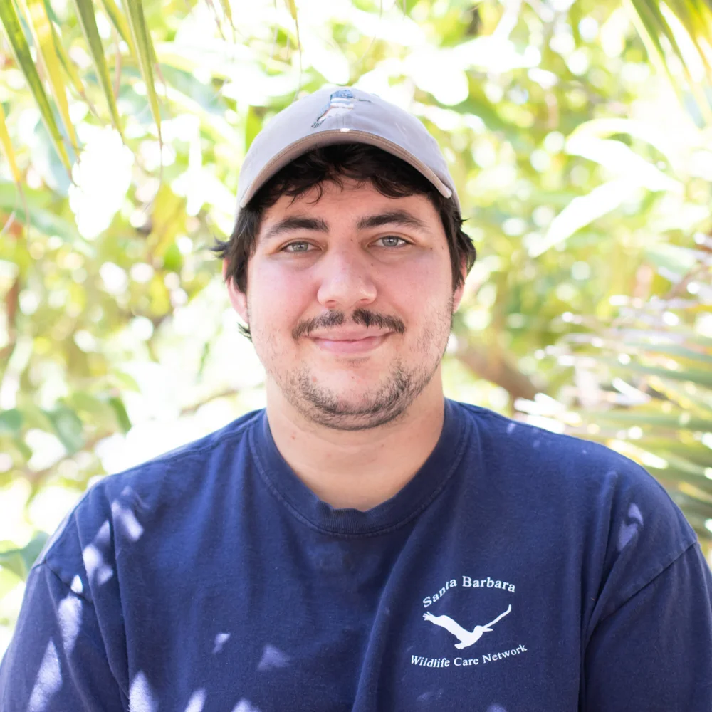 Meet the Team —Santa Barbara Wildlife Care Network