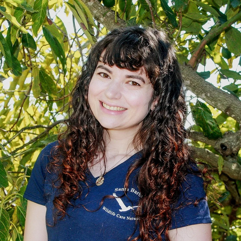 Meet the Team —Santa Barbara Wildlife Care Network