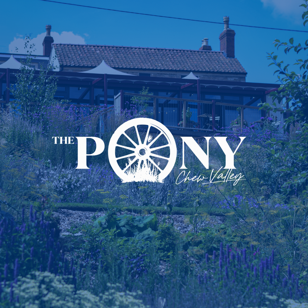 The Pony Family — Pony Chew Valley