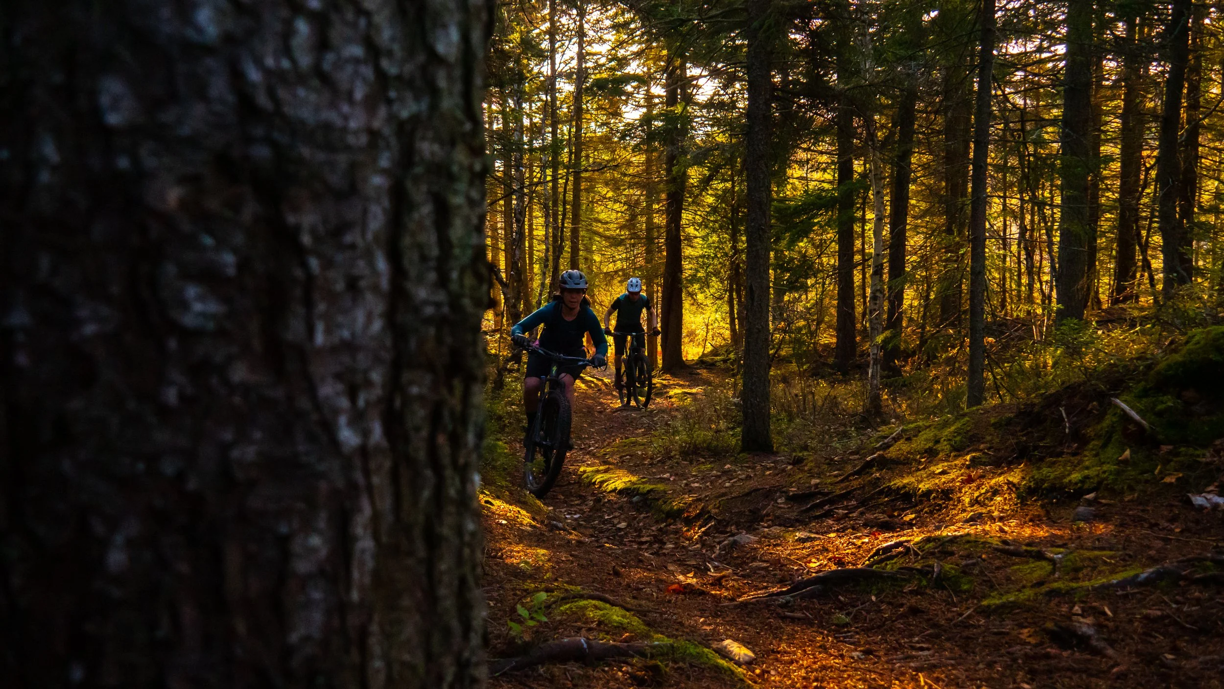 Be Rad Adventure Co. - Mountain Bike New Brunswick